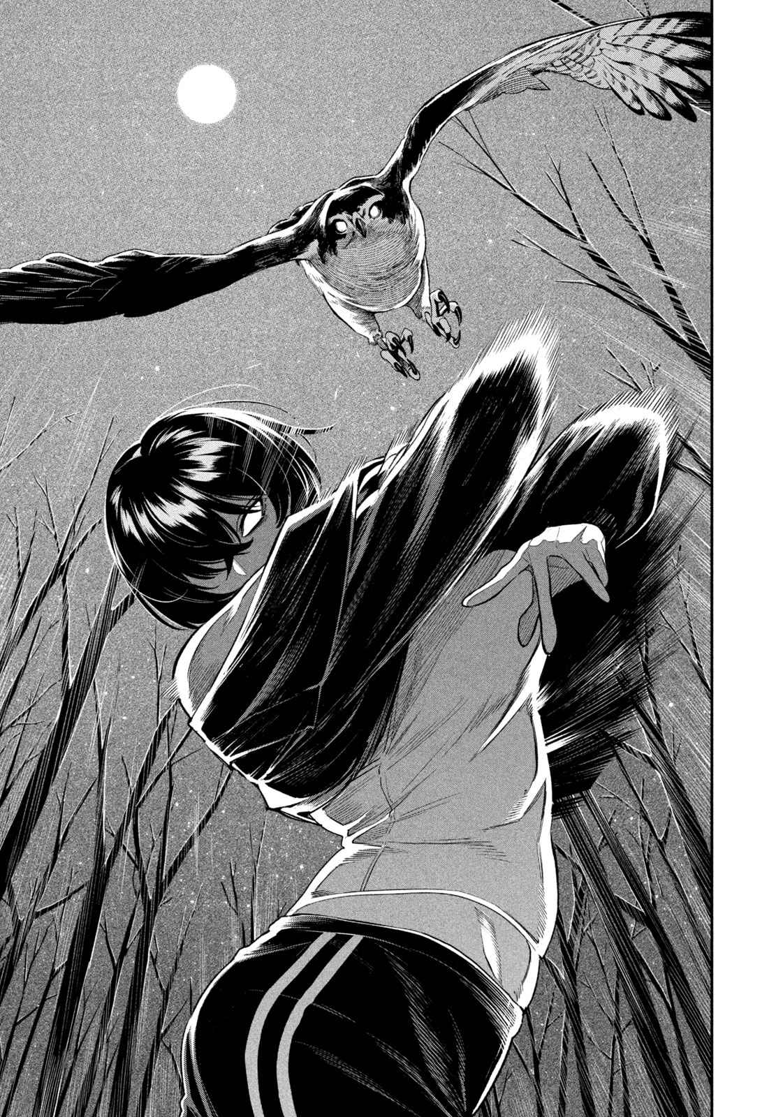 Nighthawk Returns - Chapter 1 - Kissmanga
